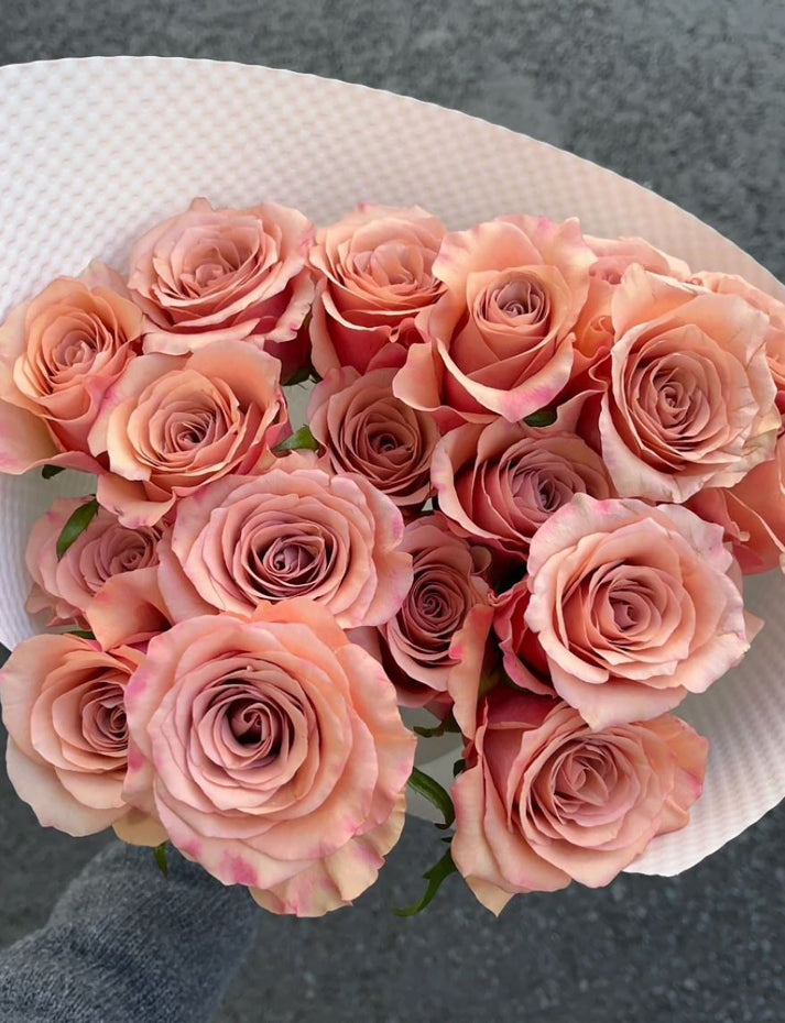 RP Moab 莫泊，Florist Shrub Rose，Upright, Heat-tolerant, disease-resistan ...