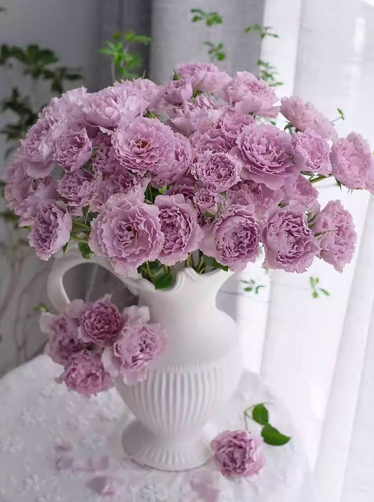 Asian Rose Species – Page 6 – SpringlandFlowers